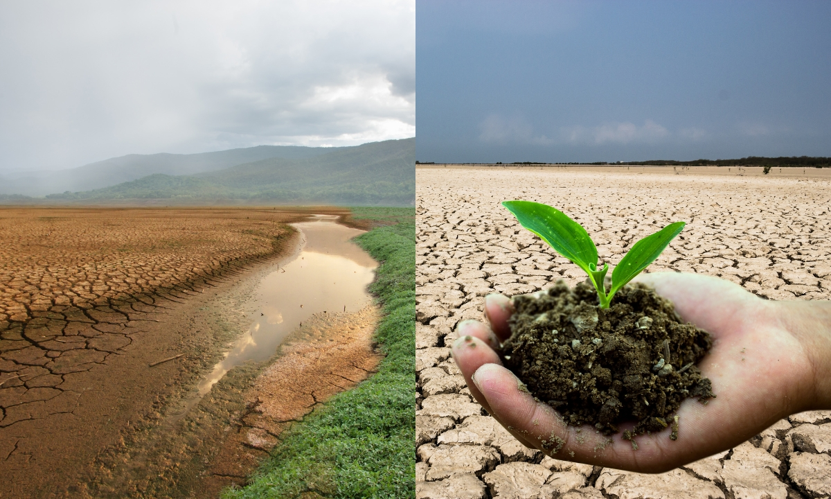 Mitigar el Cambio Climático: [10 Ejemplos Reales]