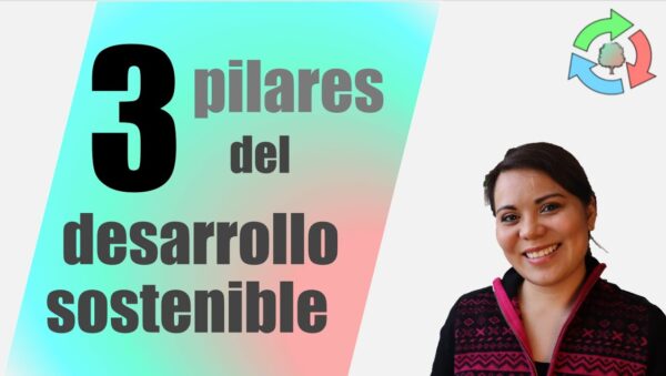 3 pilares del desarrollo sostenible (explicación y ejemplos)